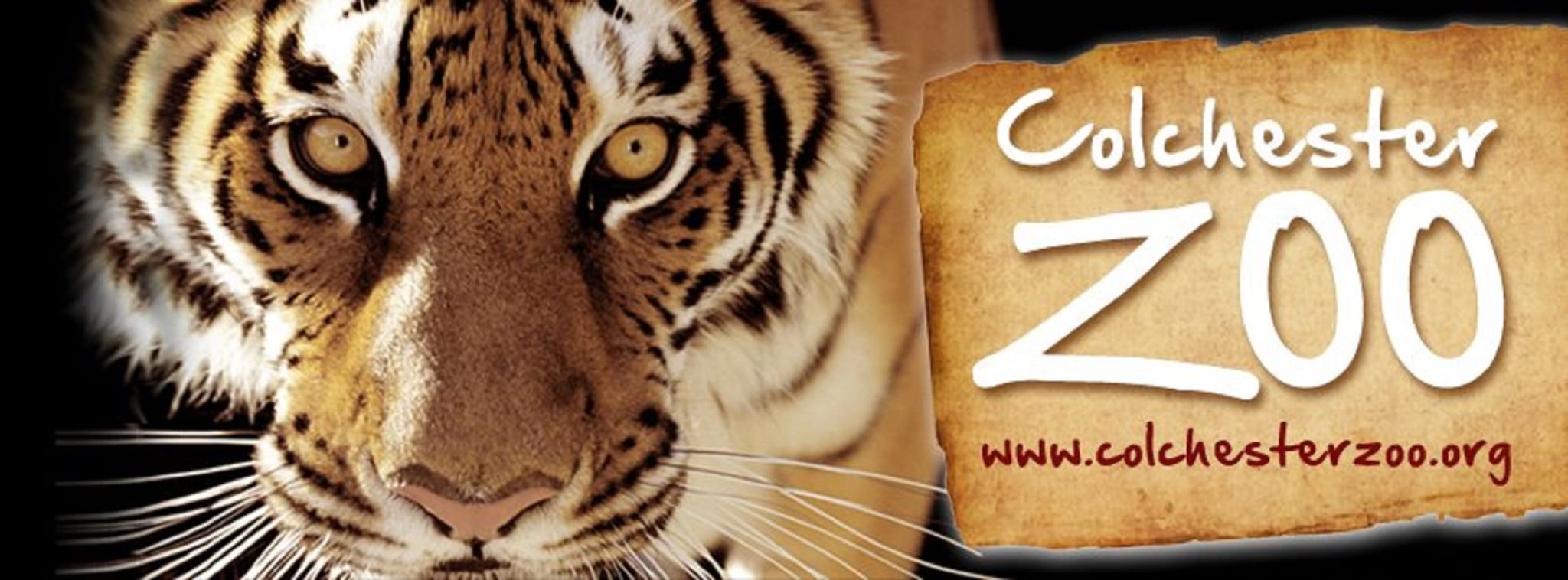 Colchester Zoo is a great family day out from Carpenters Farm